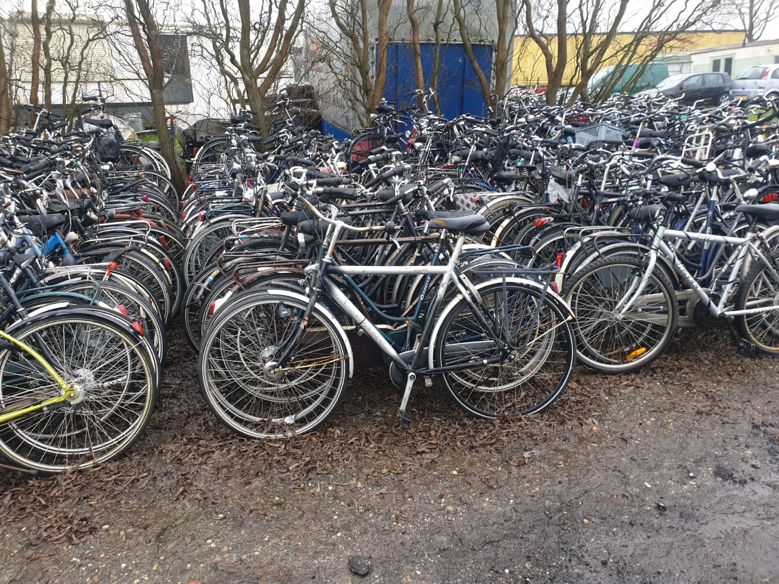 Fotos - Used Bicycle Export