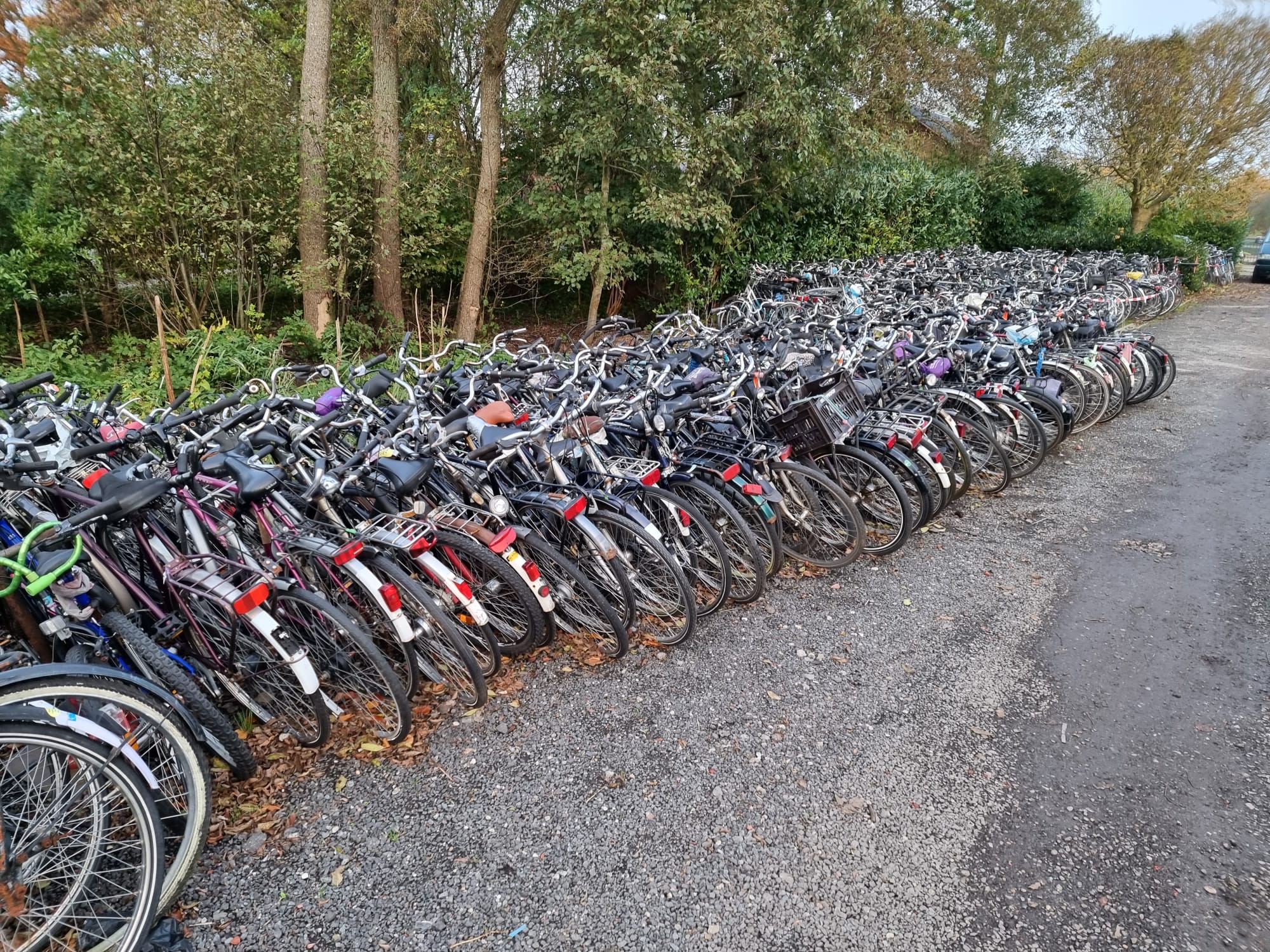 4000 tweedehands fietsen te koop - Used Bicycle Export