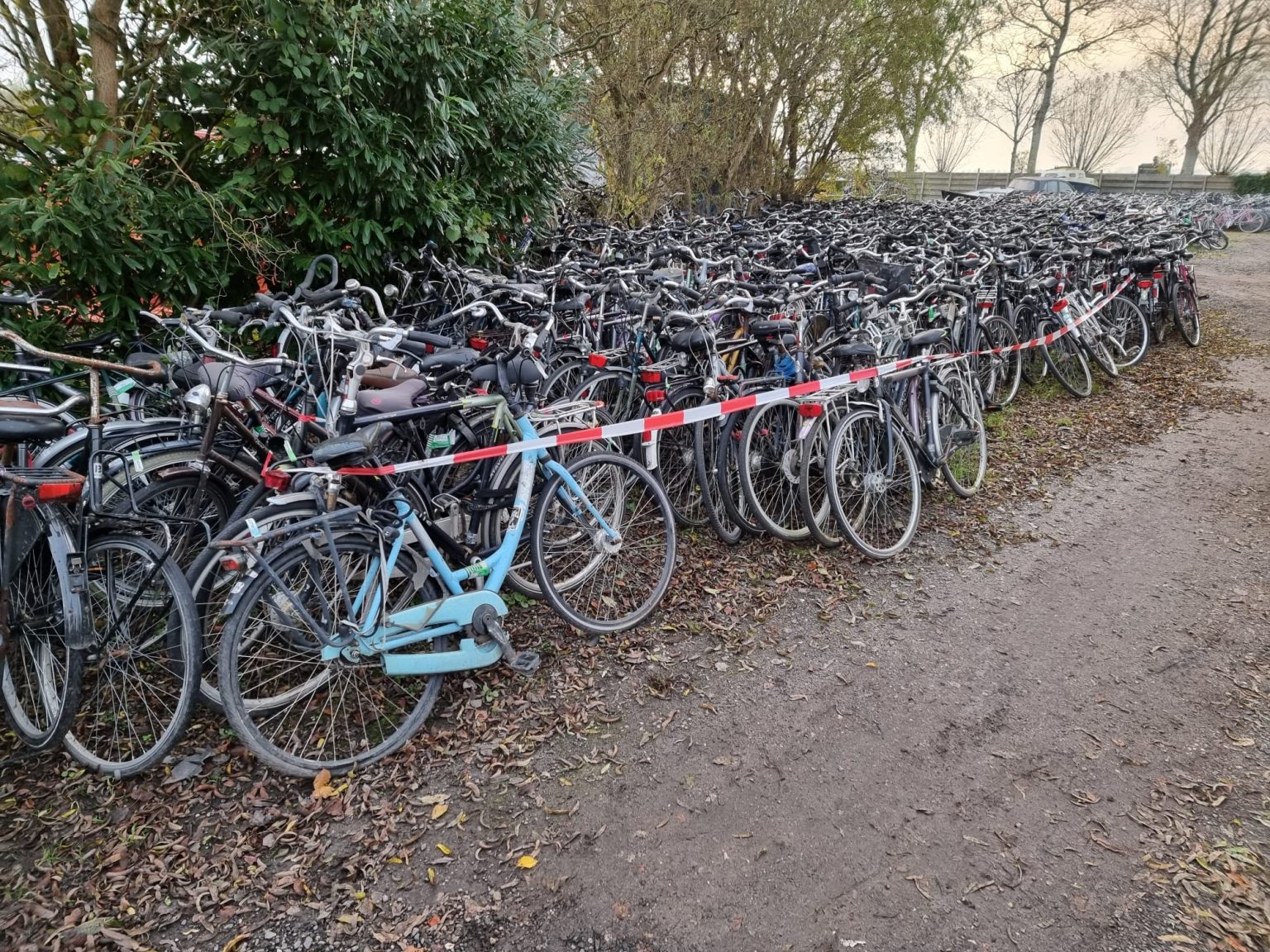 4000 used bikes for export - Used Bicycle Export